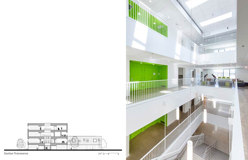 Lycee Francais De Chicago / STL Architects - Architecture Lab
