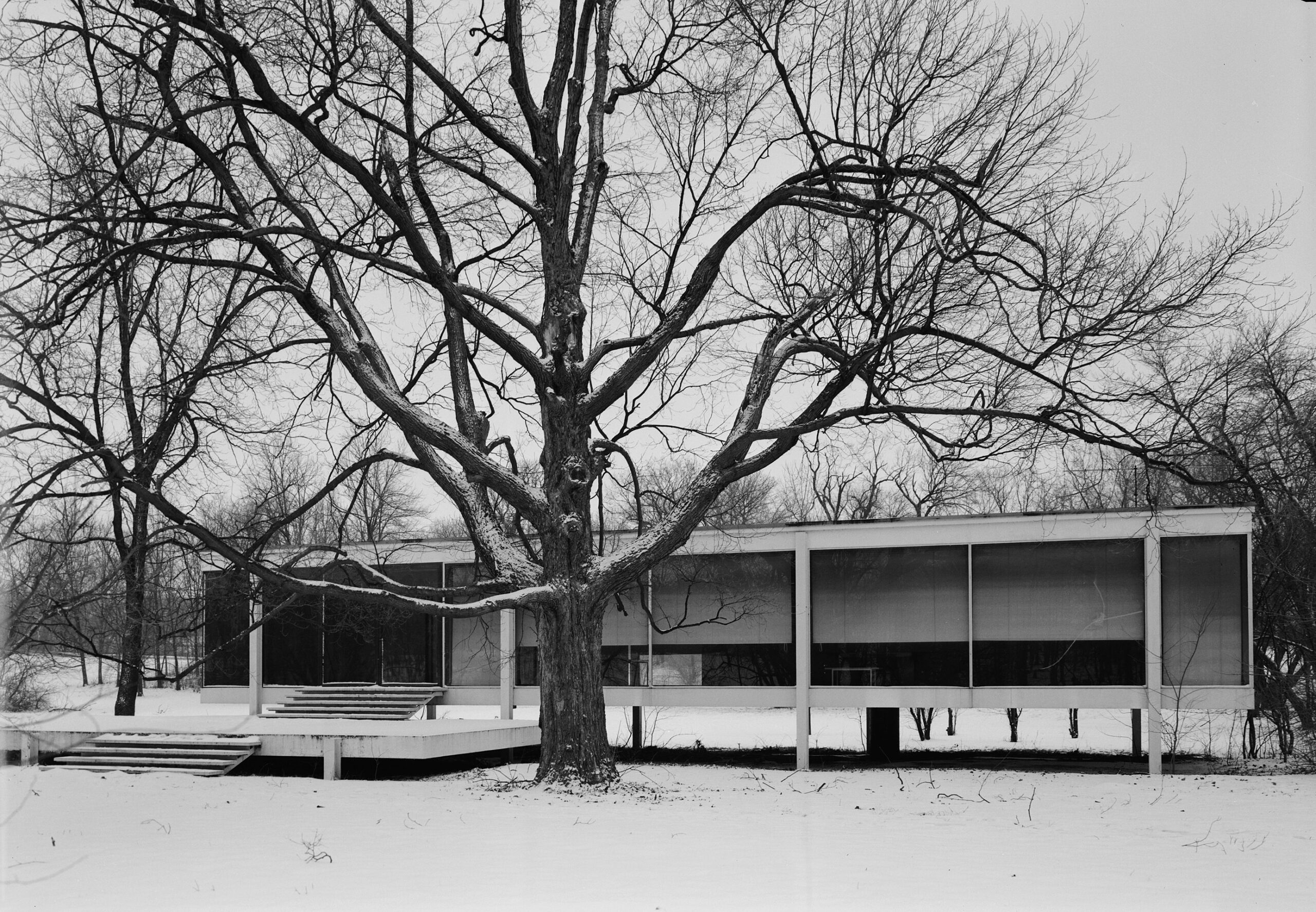 The Farnsworth House By Mies Van Der Rohe | Classics On Architecture ...