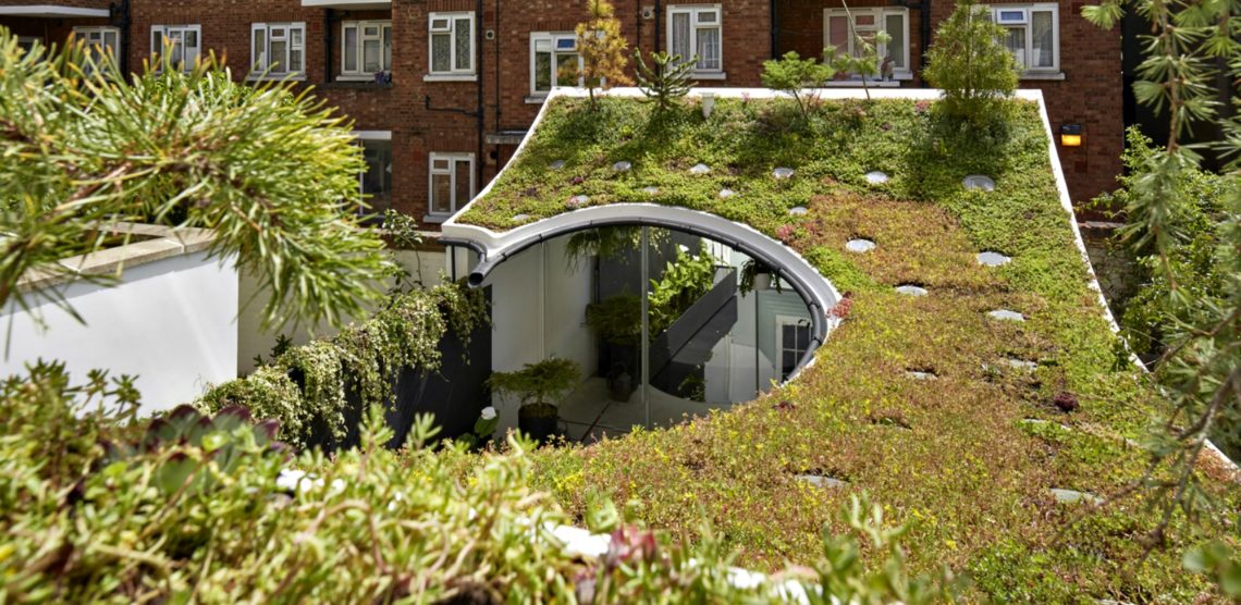 Vegetative Roof Systems 101 - Sustainable Solution