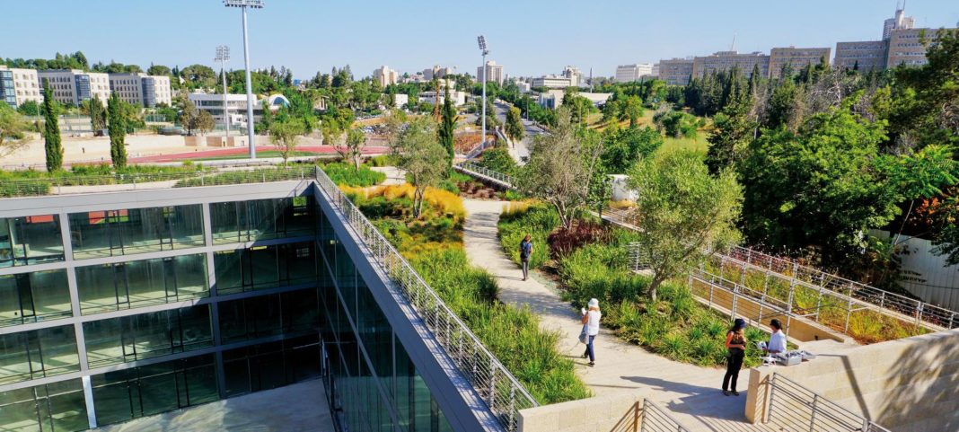Vegetative Roof Systems 101 - Sustainable Solution