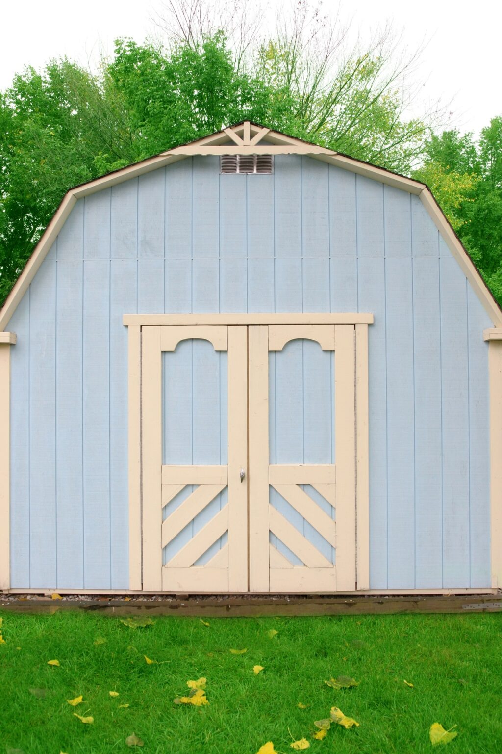 Types Of Sheds For Your Future Home | All You Need To Know
