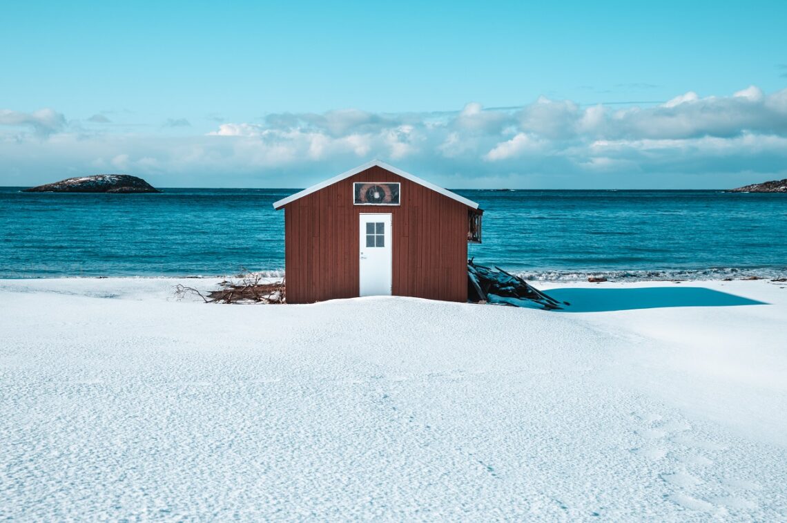 Types Of Sheds For Your Future Home | All You Need To Know