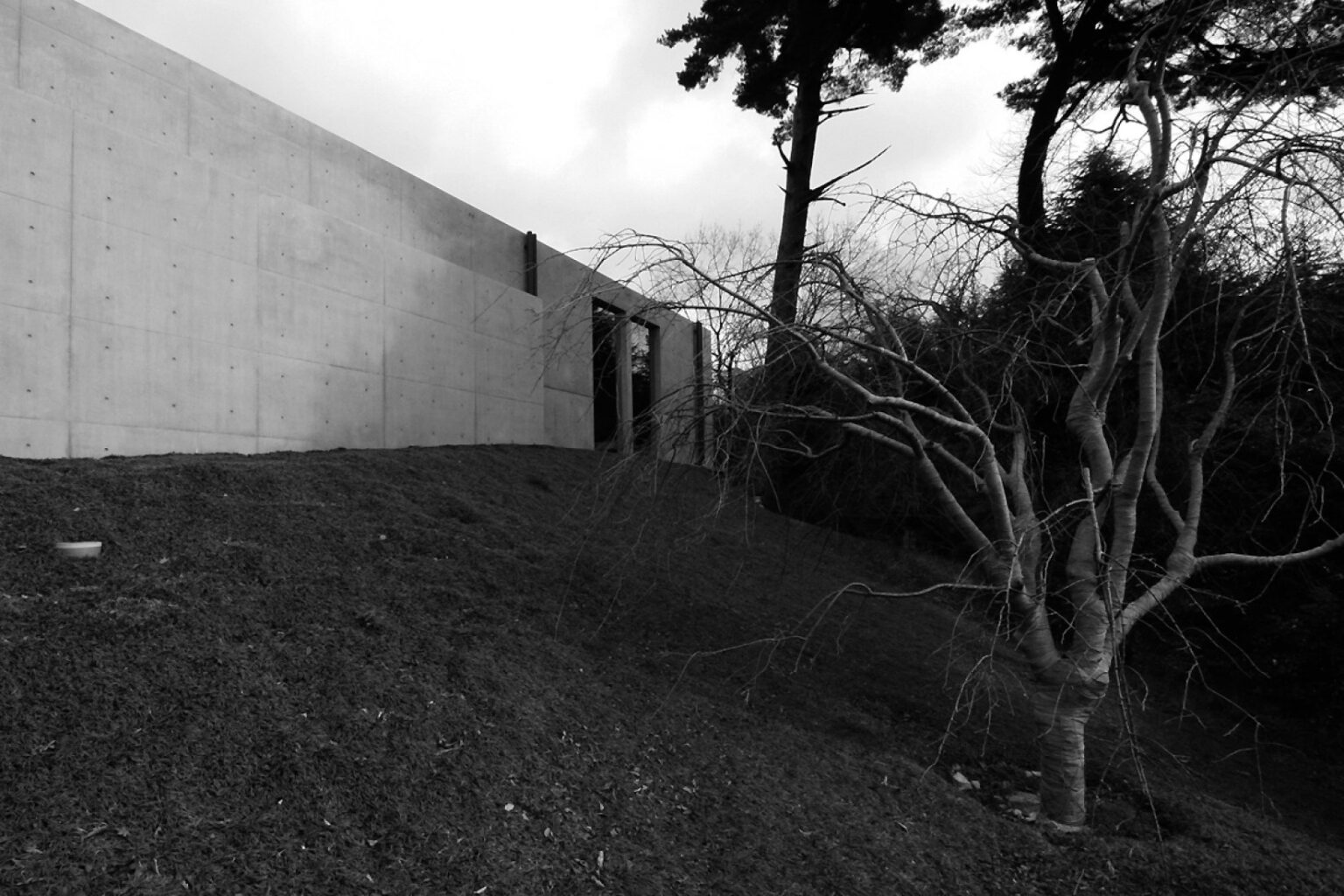 Tadao Ando: Biography, Works, Awards