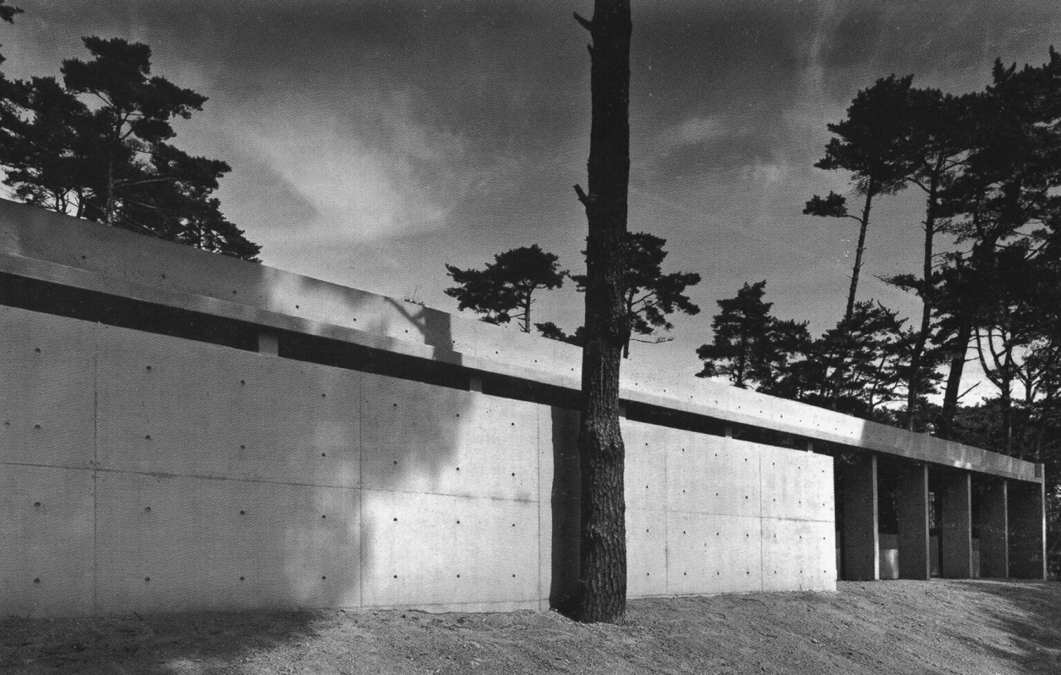 Tadao Ando: Biography, Works, Awards
