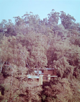 The Gertler Residence 1970 / Ray Kappe