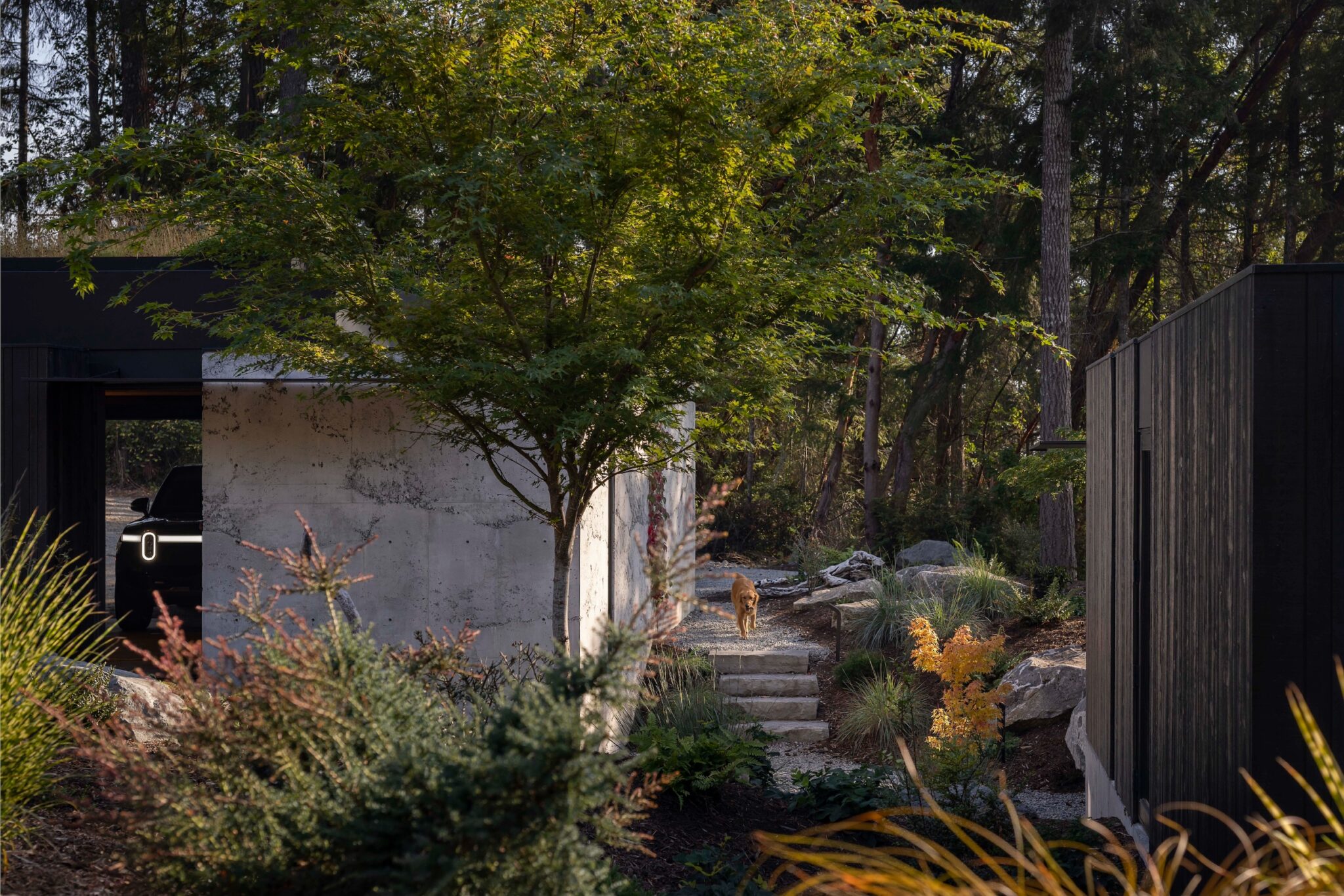 Longbranch House / Mwworks