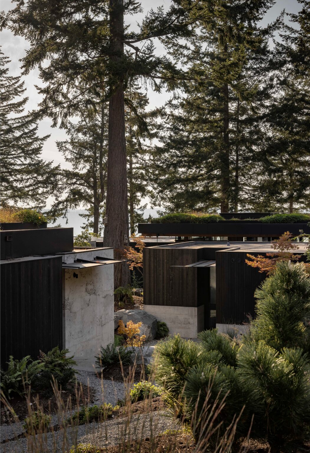 Longbranch House / Mwworks
