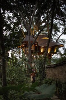 Tree House At Bambu Indah / IBUKU