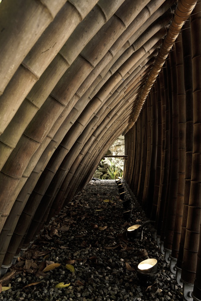 Clear Water Tea House / Behet Bondzio Lin Architekten