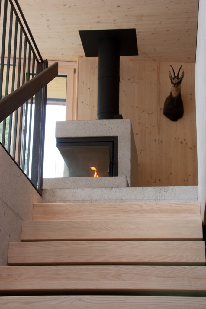 Above The Trees / Lechner & Lechner Architects