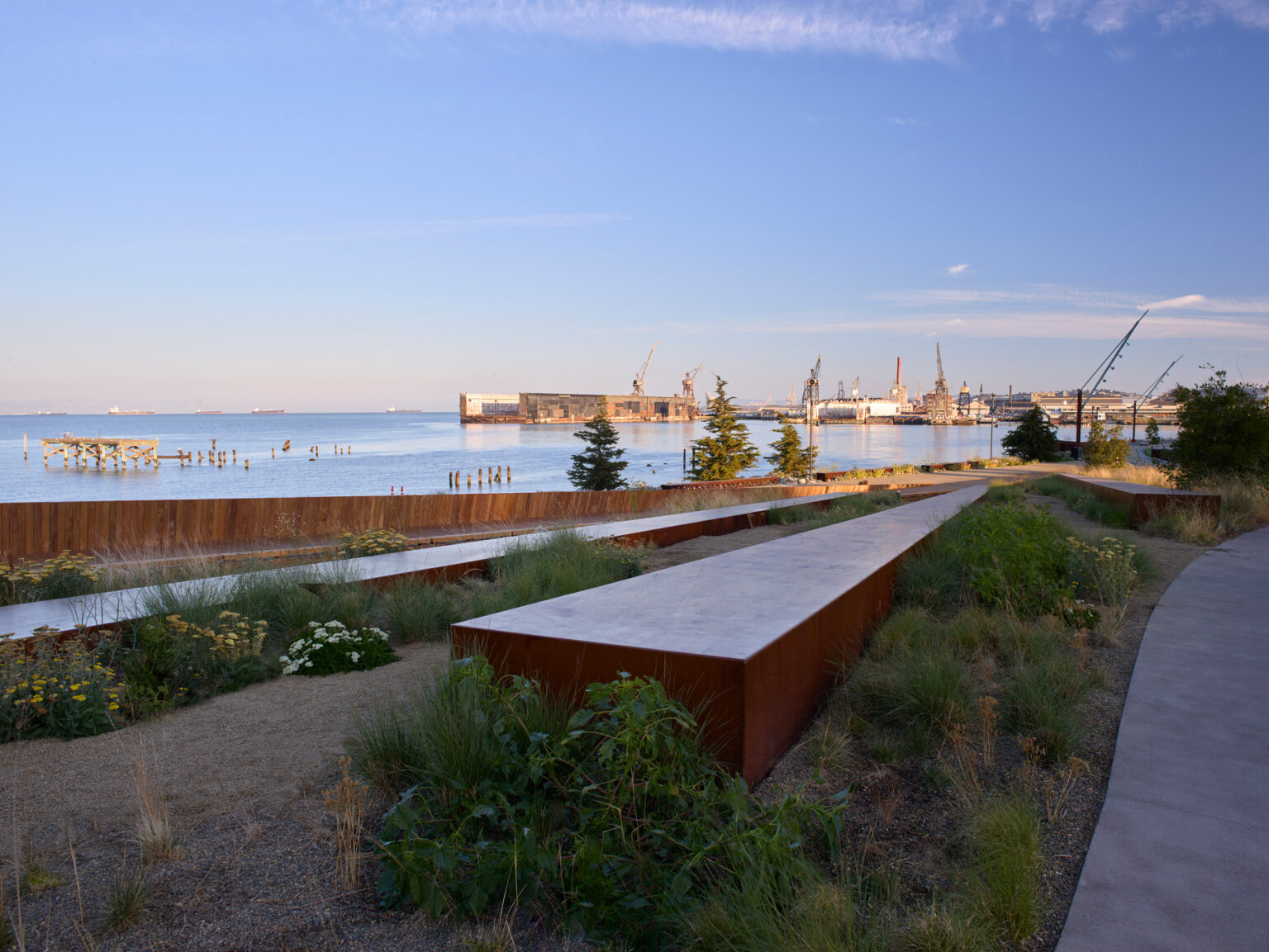 Bayfront Park / Surfacedesign