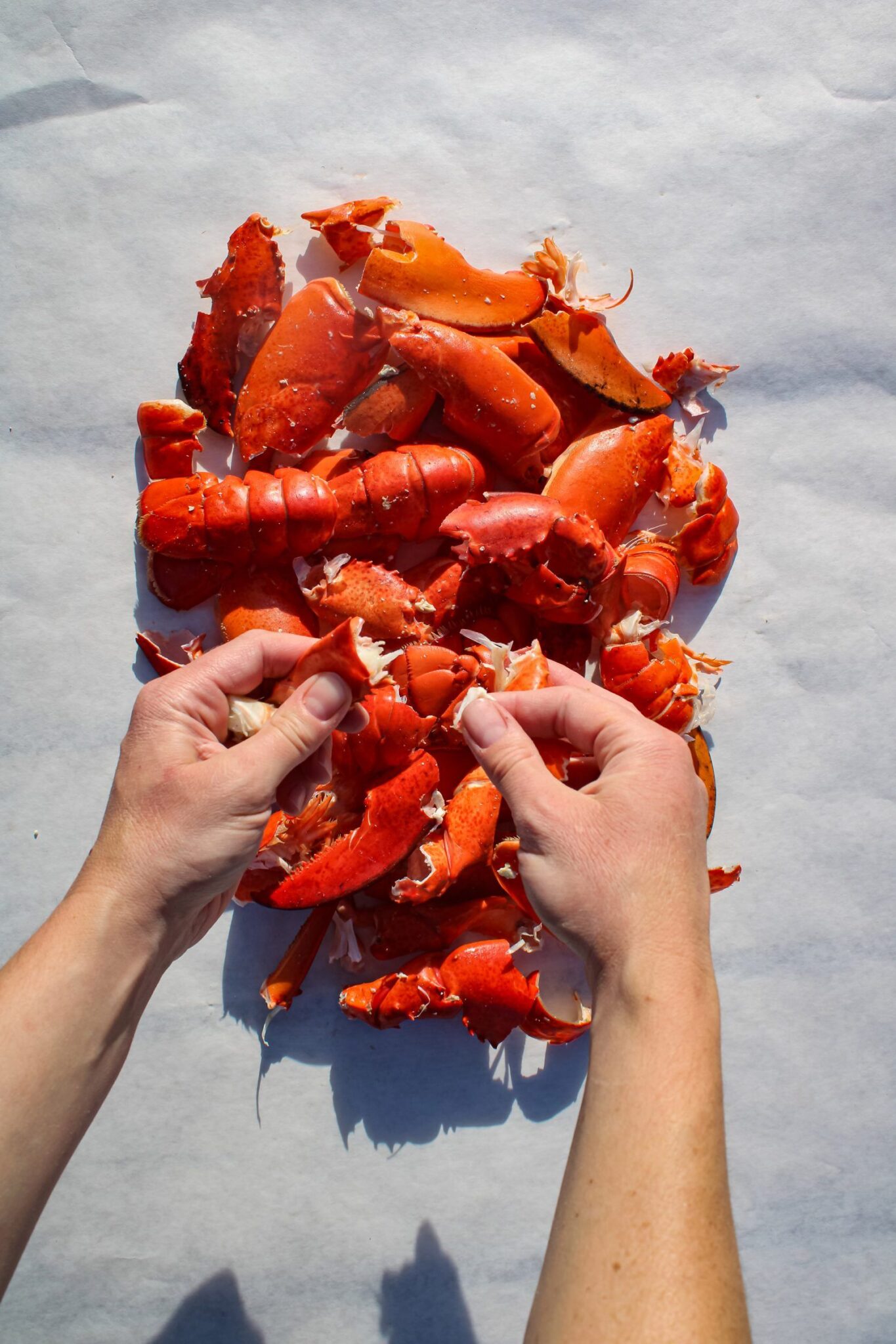 Lobster Shell 3D Printing Composite / BioMatters + Manufactura
