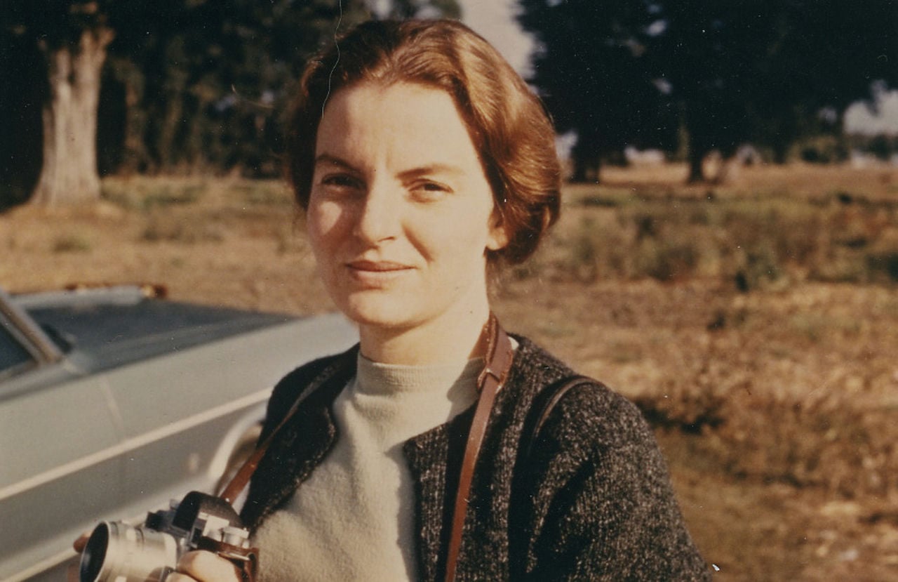 Denise Scott Brown: Biography, Works, Awards