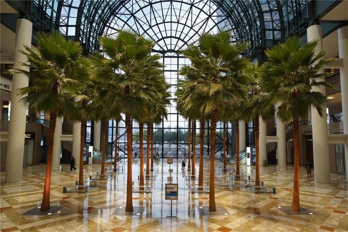 César Pelli: Biography, Works, Awards