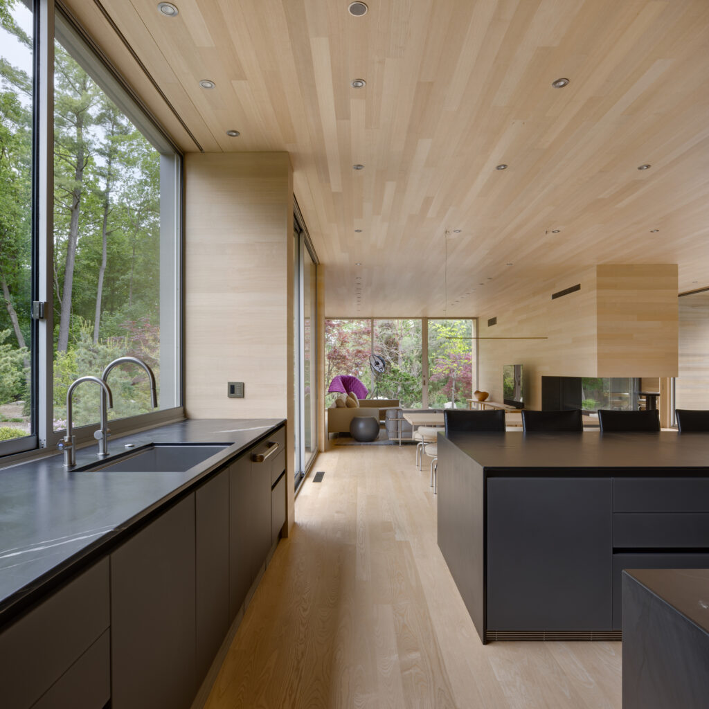 Lakeside Residence / Disbrow Iannuzzi