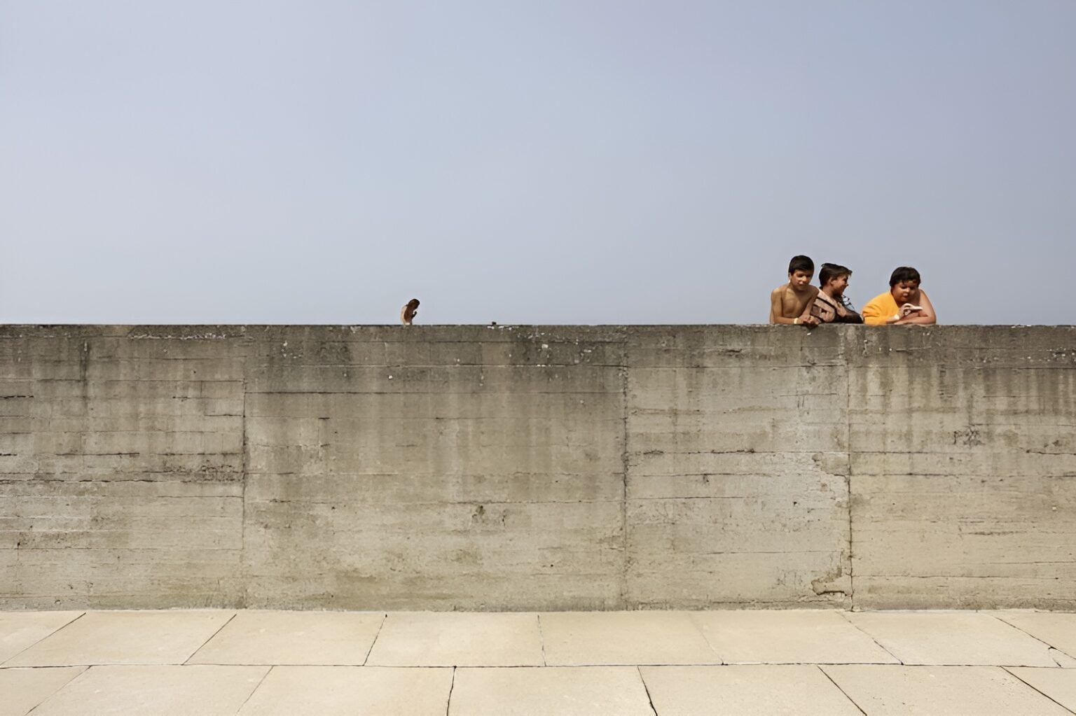 Leça Swimming Pools / Álvaro Siza Vieira | Classics On Architecture Lab