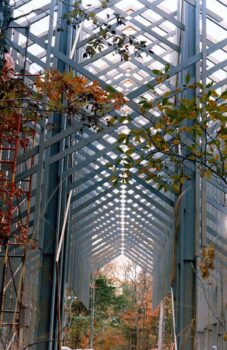 Thorncrown Chapel / E. Fay Jones | Classics On Architecture Lab
