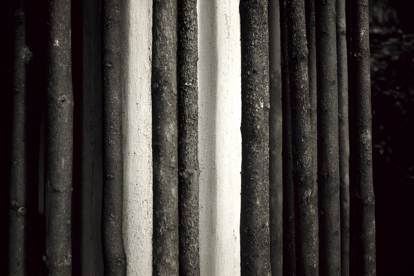 Villa Mairea / Alvar Aalto | Classics On Architecture Lab