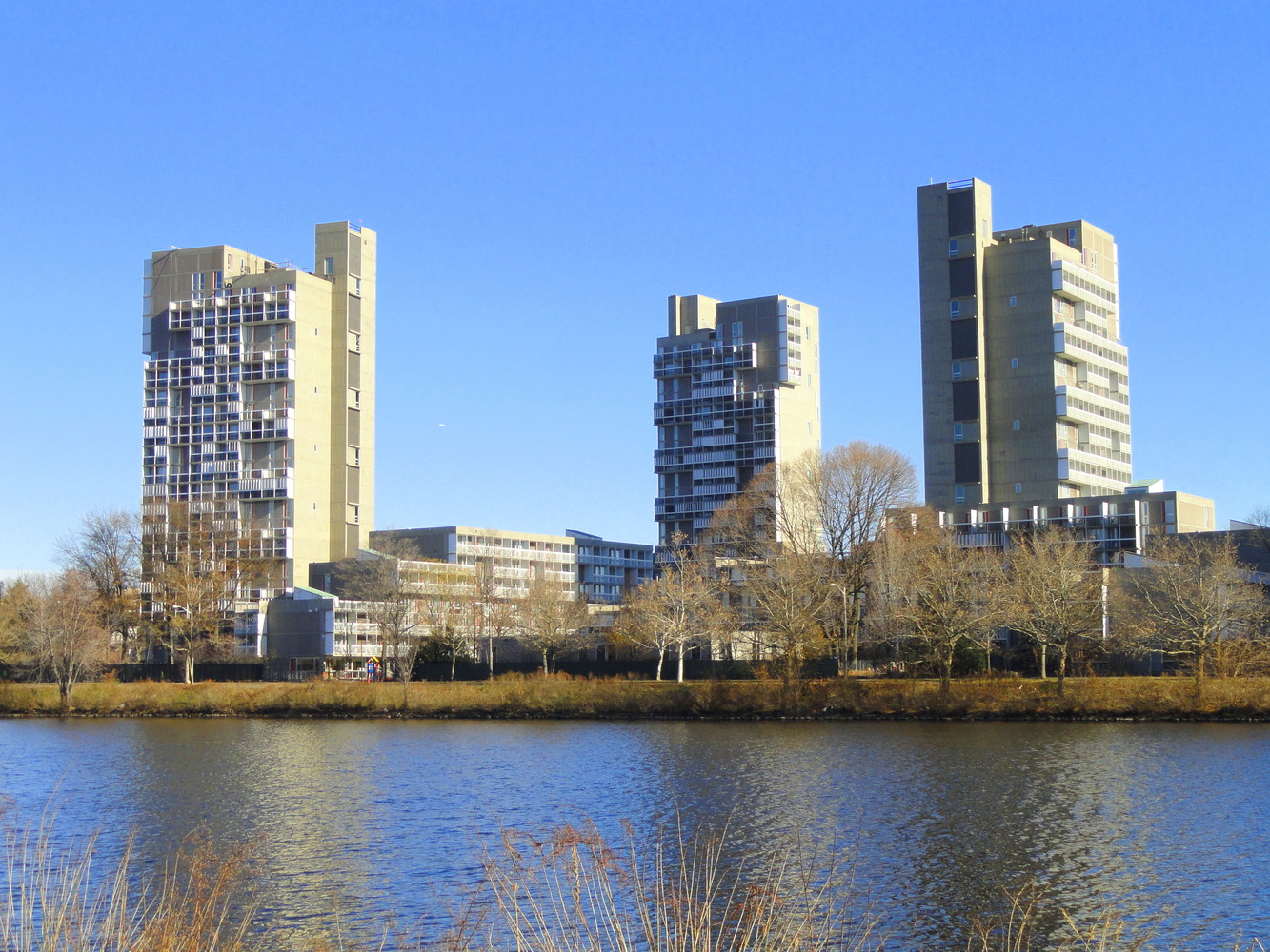 Peabody Terrace / Sert, Jackson & Gourley | Classics On Architecture Lab