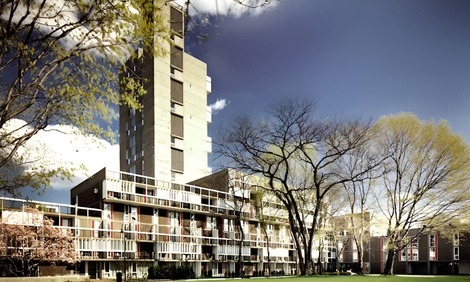 Peabody Terrace / Sert, Jackson & Gourley | Classics On Architecture Lab